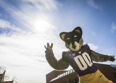 Embracing a broader definition of literacy | UW College of Education